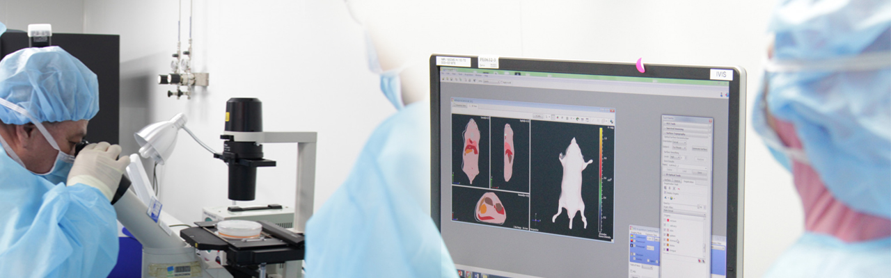 What Really Happens In An Nih Study Review